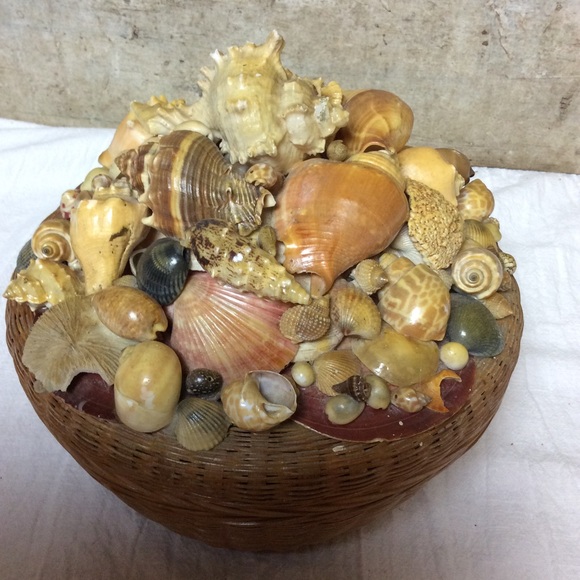Vintage | Accents | Mid Century Real Shell Handmade Treasure Basket ...